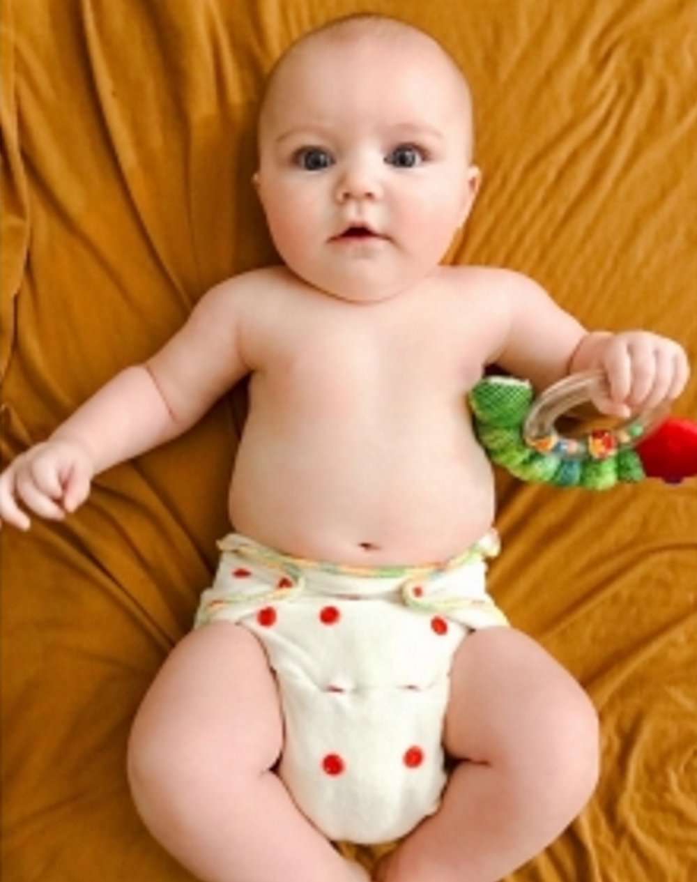 Planet Baby Organic Hemp / Bamboo Fitted Cloth Diapers, All-in-One ...